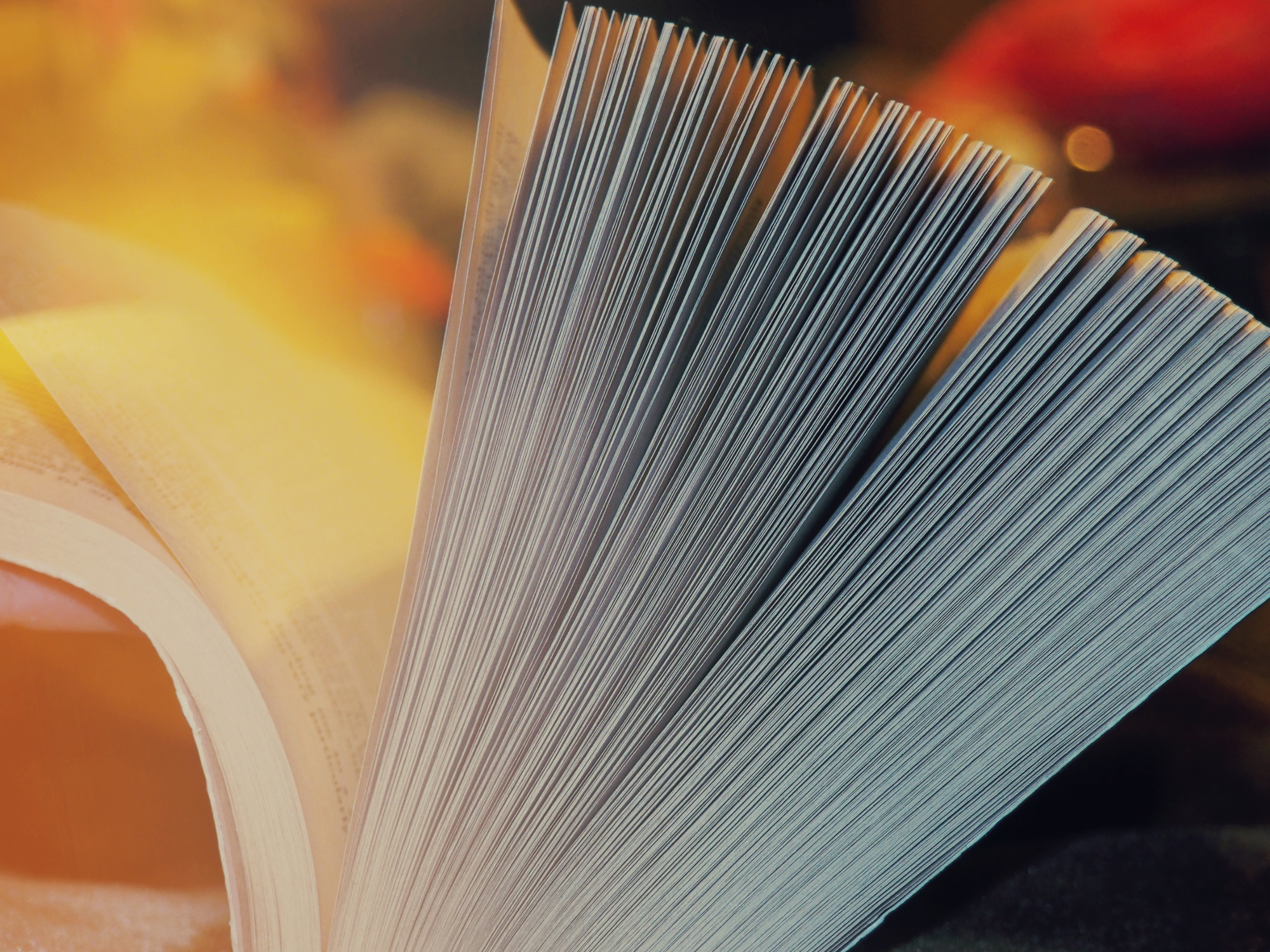 Revise & Resub 2019 Winners Announced | Revise & Resub